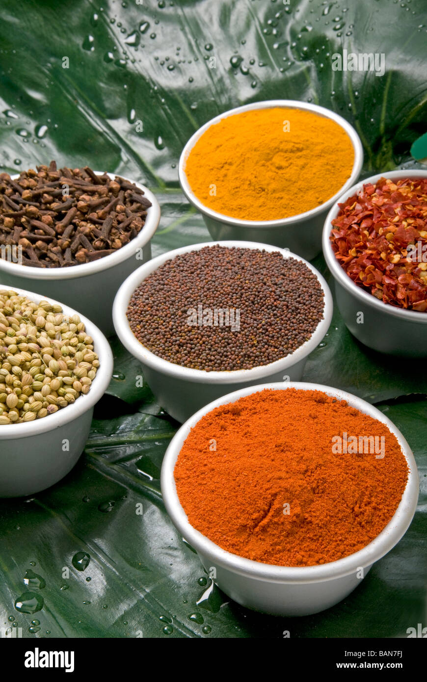 Indian spices and ingredients hi-res stock photography and images - Alamy