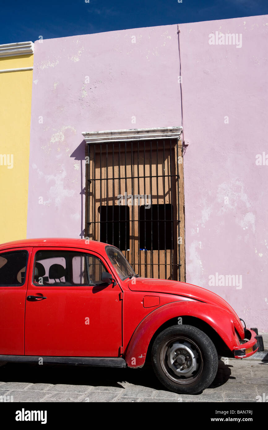 Red beetle hi-res stock photography and images - Alamy