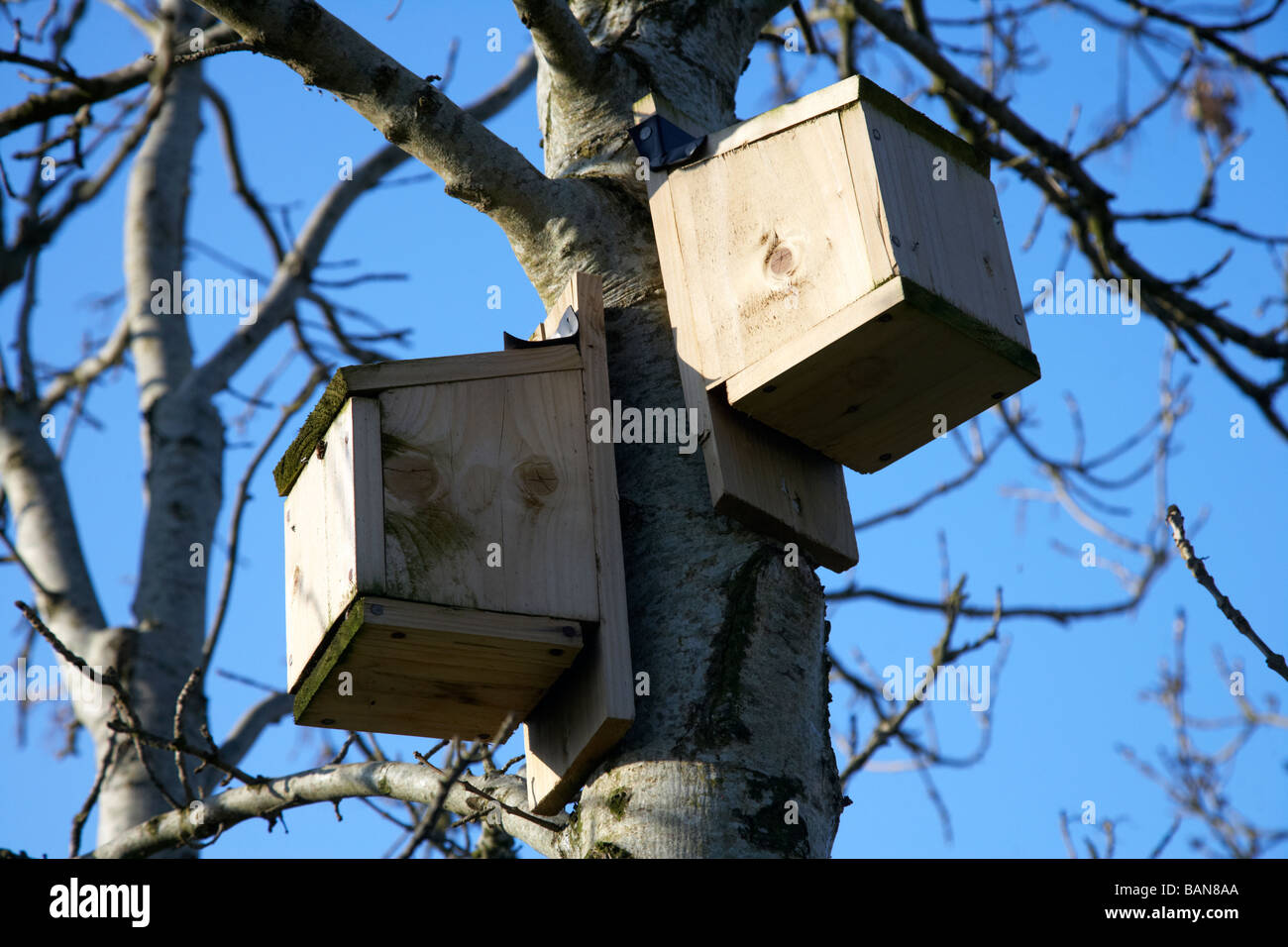 Man made nest boxes hi-res stock photography and images - Alamy
