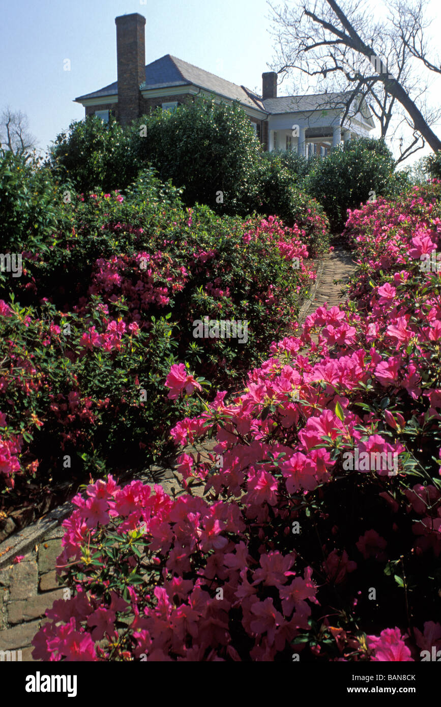 House with azaleas at Boone Hall Plantation Stock Photo - Alamy