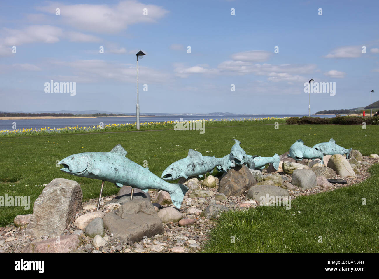 Salmon sculpture on banks of Tay Estuary Newburgh Fife Scotland April ...