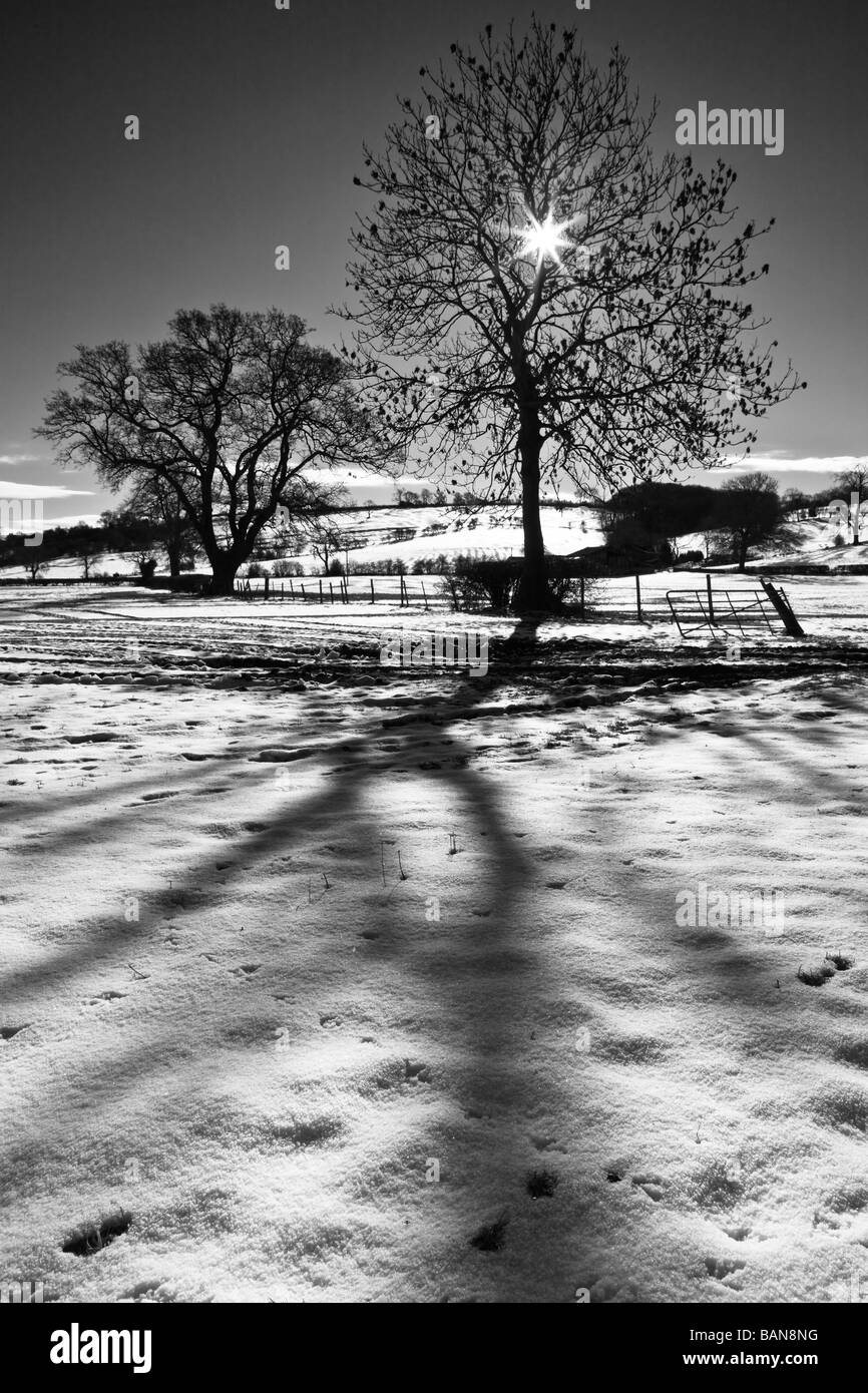 Sunlight casts shadows hi-res stock photography and images - Alamy