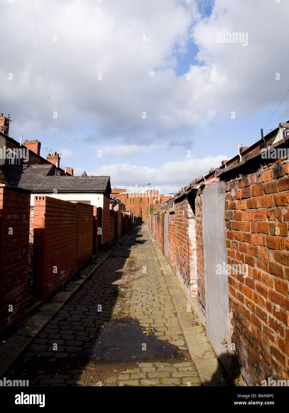 Old Northern British Cobbled Street Alleyway with Garden Walls Stock ...