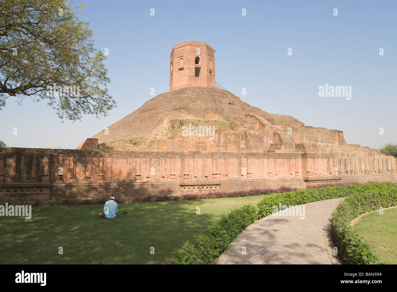 Isipatana deer park Sarnath Uttar Pradesh India Stock Photo - Alamy