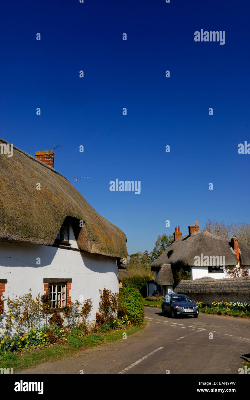 Traditional thatched houses on Broad road near Monxton wiltshire ...