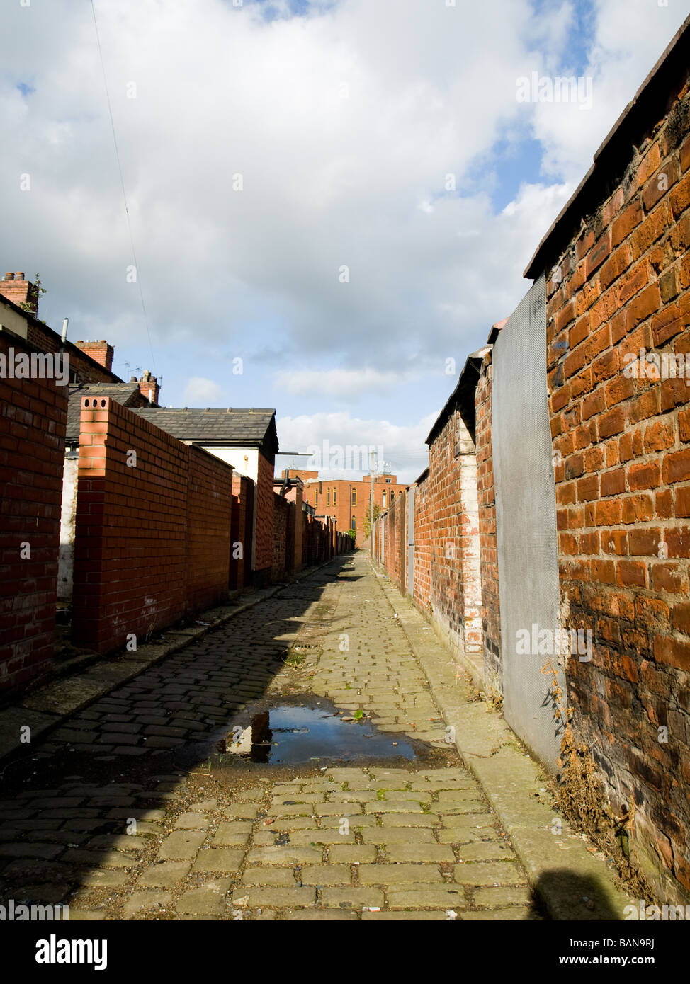 Old Northern British Cobbled Street Alleyway with Garden Walls Stock ...