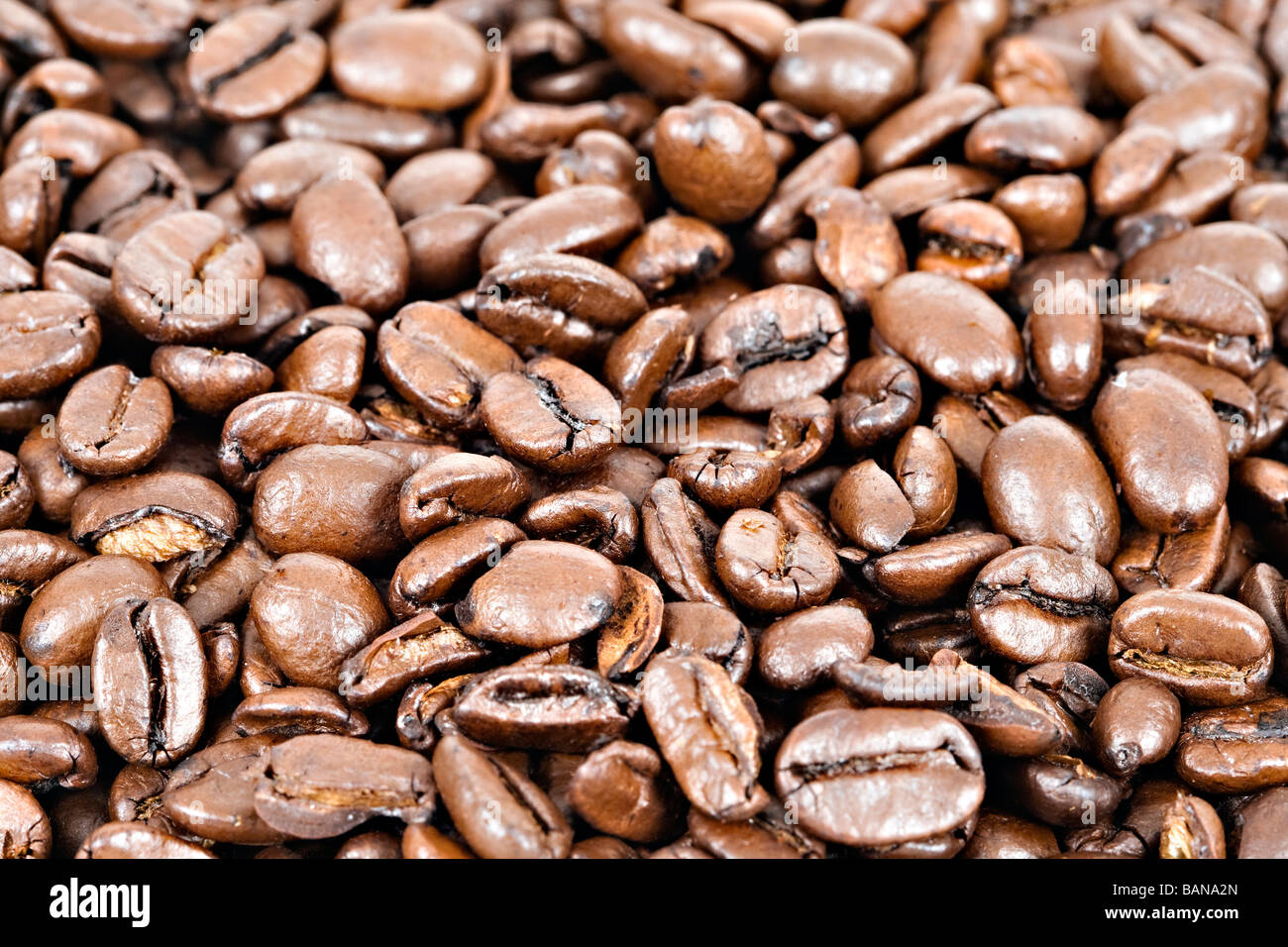 Roasted coffee beans Stock Photo - Alamy