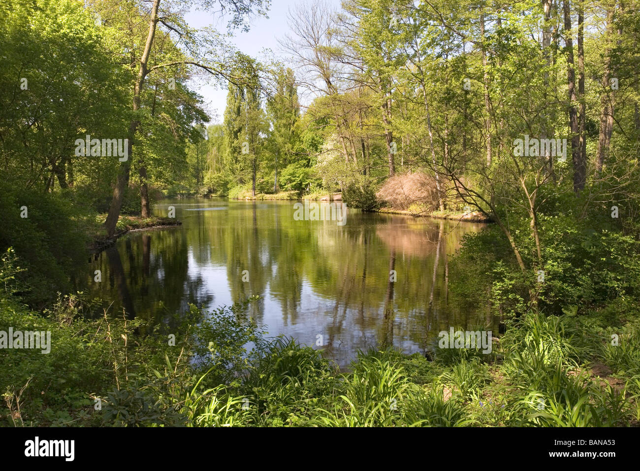 Tiergarten, Berlin, Germany Stock Photo - Alamy