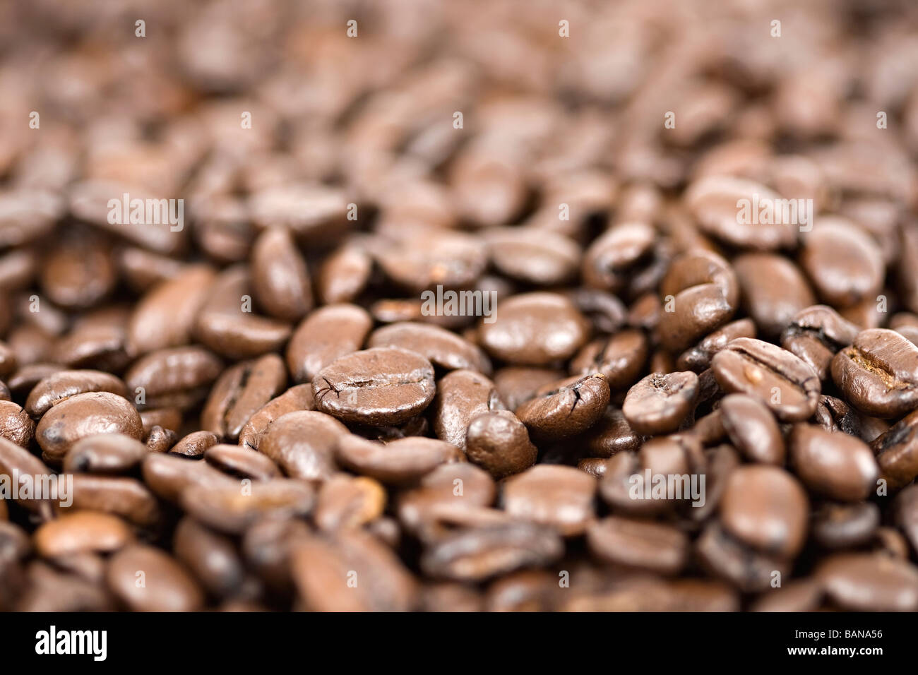 Roasted coffee beans Stock Photo - Alamy