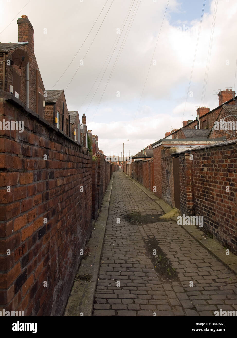 Old Northern British Cobbled Street Alleyway with Garden Walls Stock ...