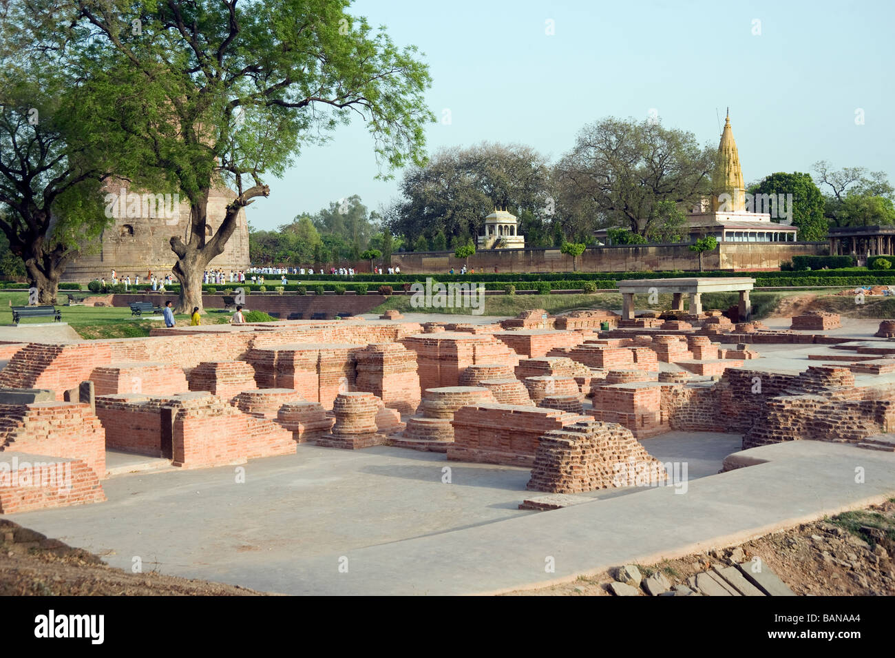 Isipatana deer park Sarnath Uttar Pradesh India Stock Photo - Alamy