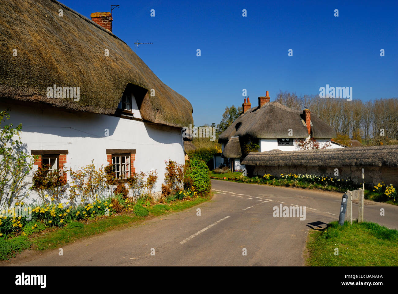 Traditional thatched houses on Broad road near Monxton wiltshire ...