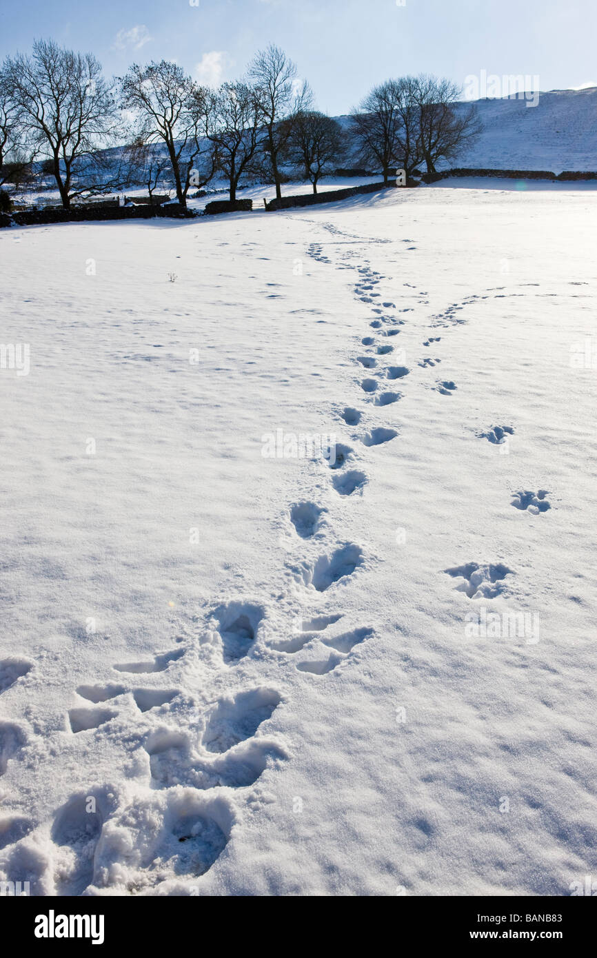 Snow footsteps hi-res stock photography and images - Alamy