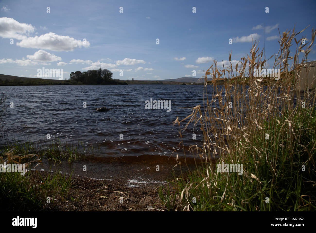 lough fea on the border of county tyrone and county derry londonderry ...