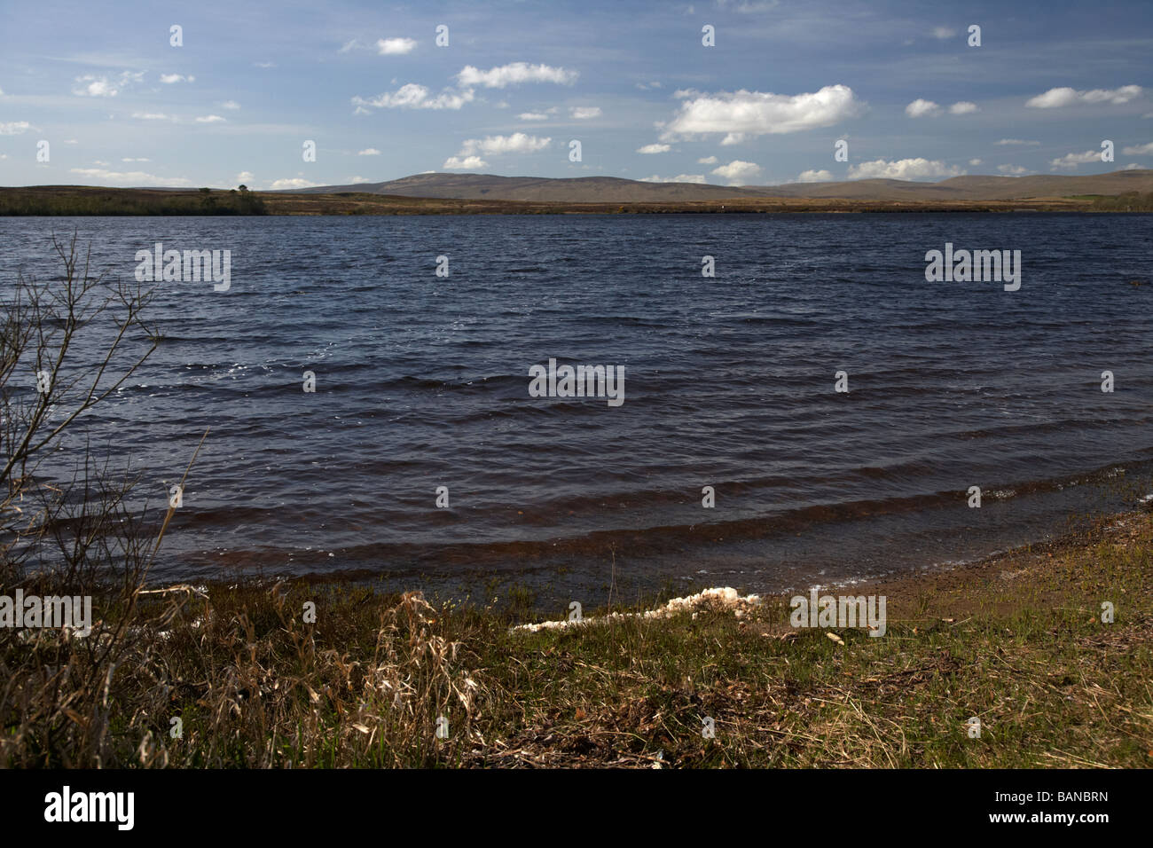 lough fea on the border of county tyrone and county derry londonderry ...
