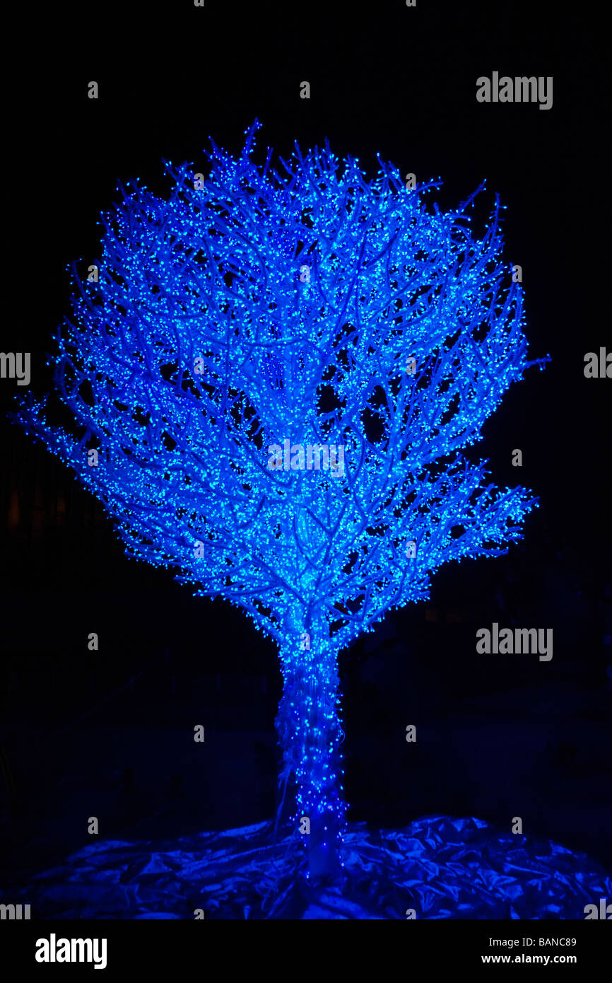 Blue tree hi-res stock photography and images - Alamy