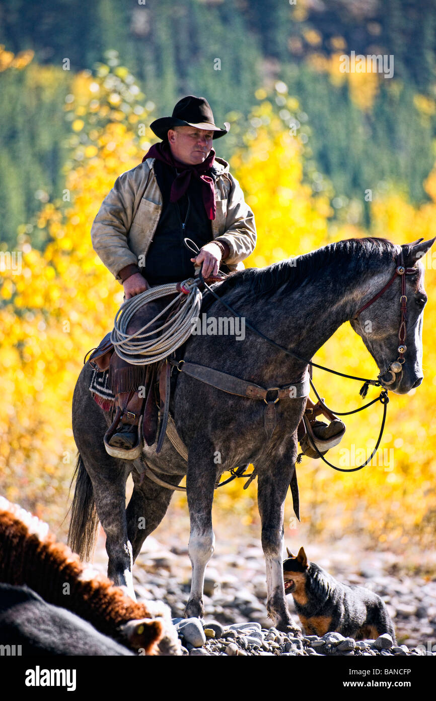 Dog Cowboy Horse Ride High Resolution Stock Photography and Images - Alamy