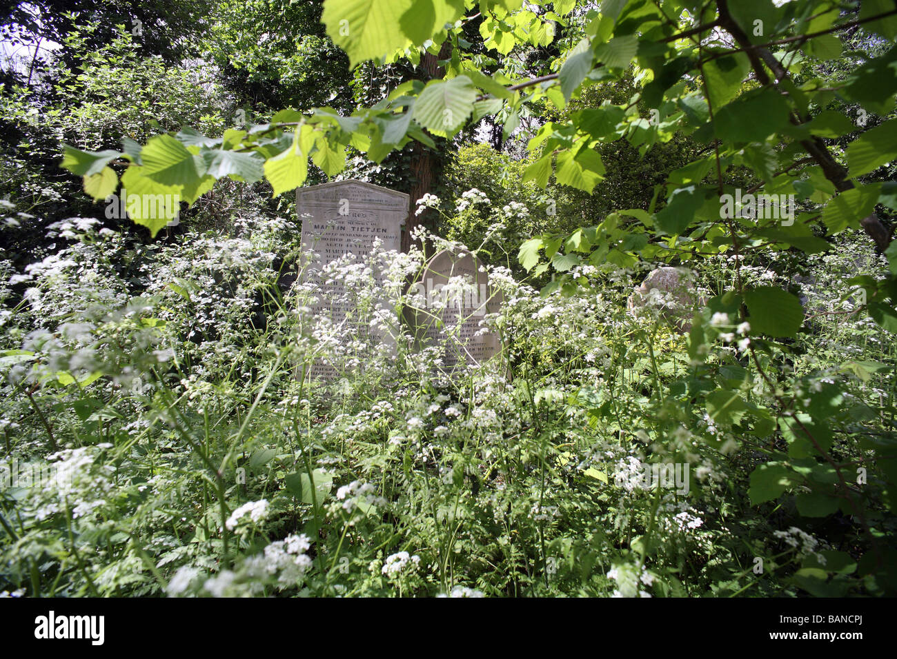 abney park cemetery hackney Stock Photo - Alamy