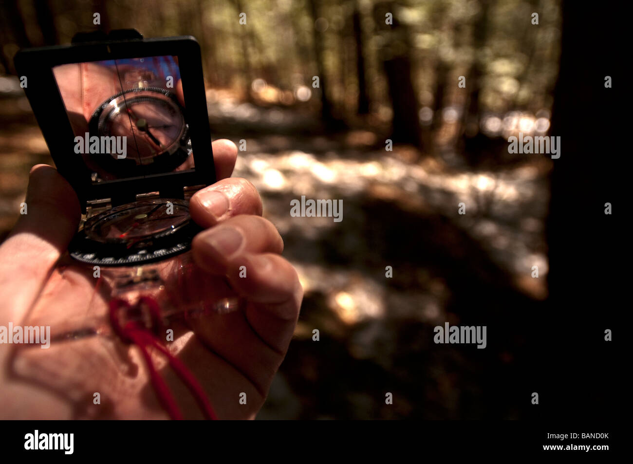 A close-up of a person holding a compass in the woods Stock Photo - Alamy