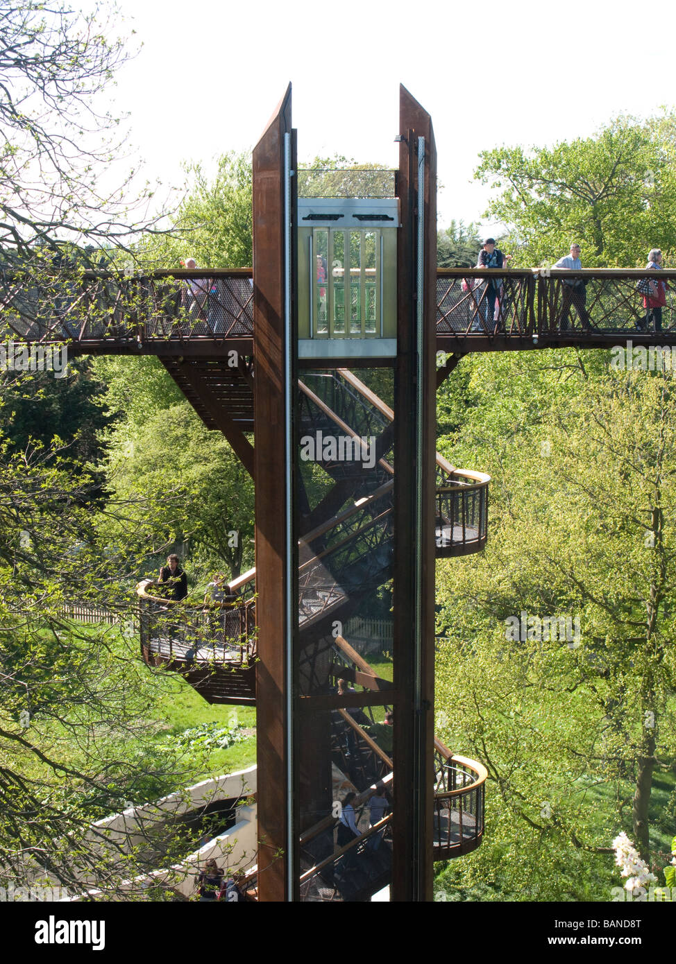 The Tree Walk, Kew Gardens Stock Photo - Alamy
