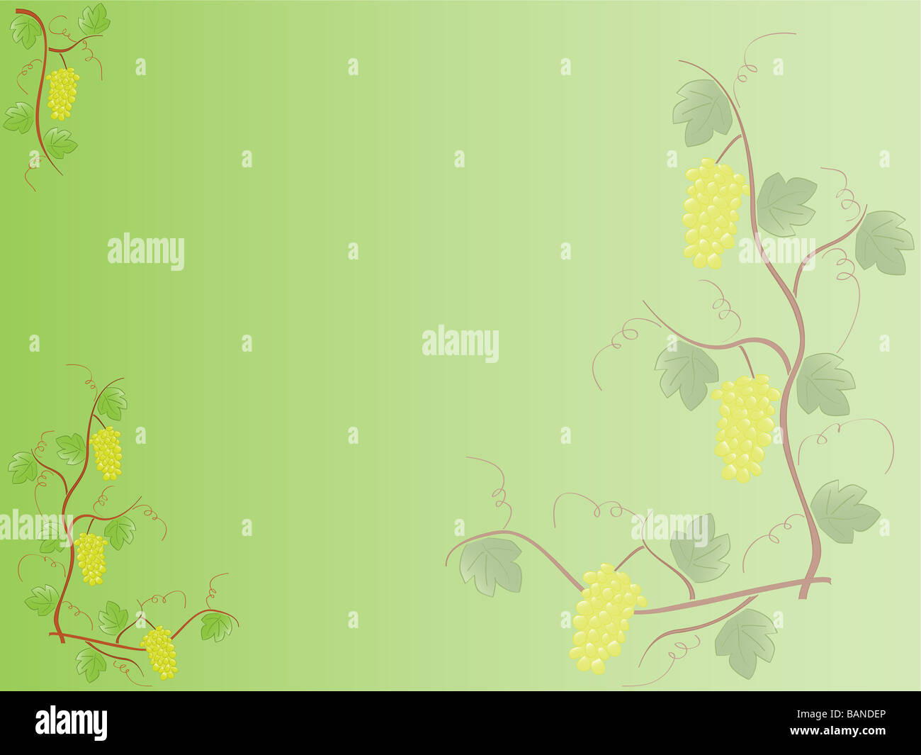 grape frame vector Stock Photo - Alamy