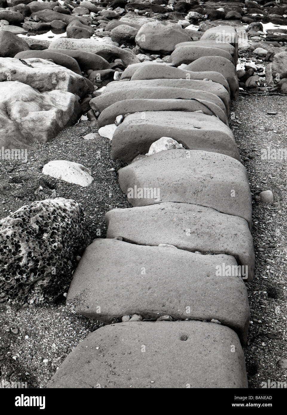 stones on the beach Stock Photo - Alamy
