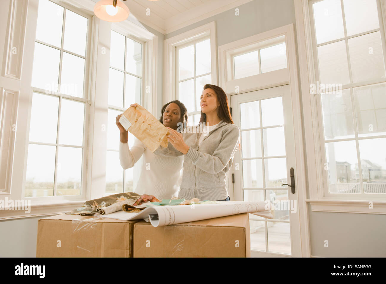 African American Renovating House High Resolution Stock Photography and ...