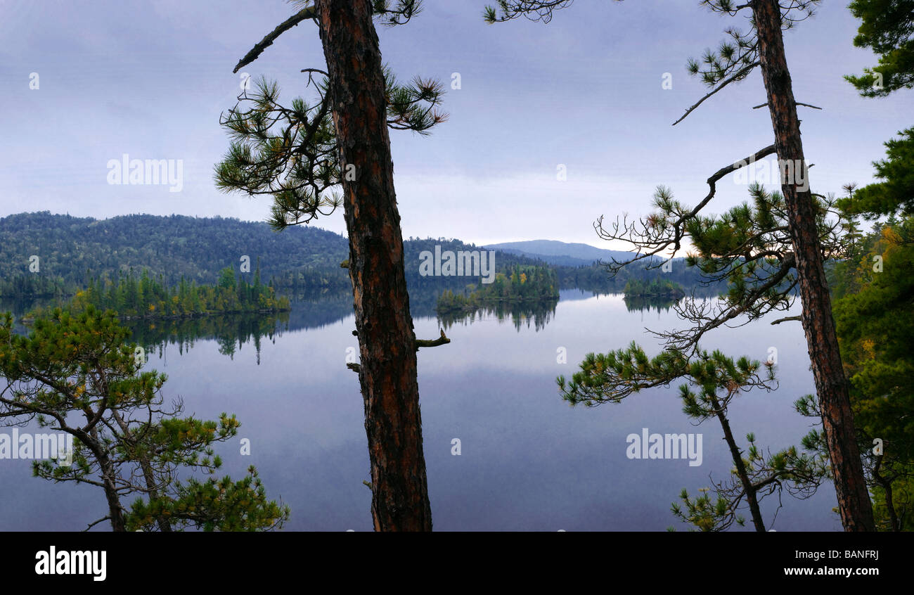 Vastness of boreal forest in Ontario, Treeby Lake, interior of Lake ...