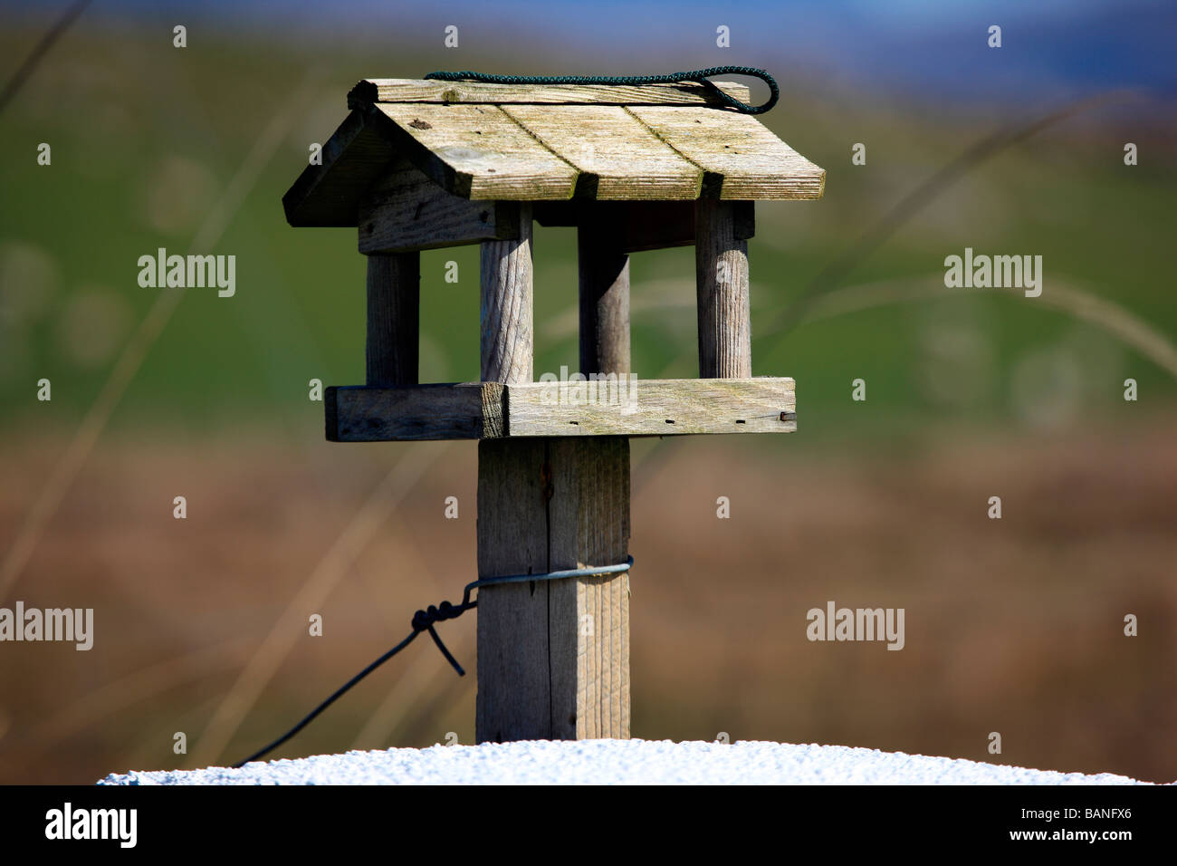 Bird tables hi-res stock photography and images - Alamy