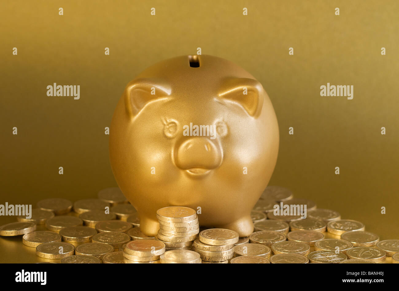 Golden pig moneybox and pound coins Stock Photo - Alamy