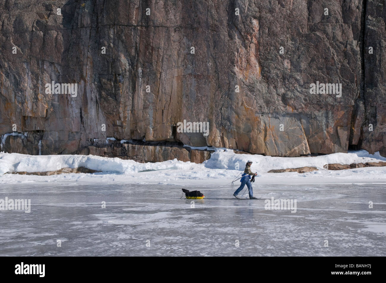 Skiing in front of Agawa Rock with 35 pictographs, shores of Lake ...