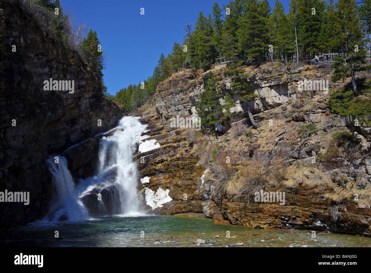 Cameron Falls in Waterton National Park Alberta Stock Photo - Alamy