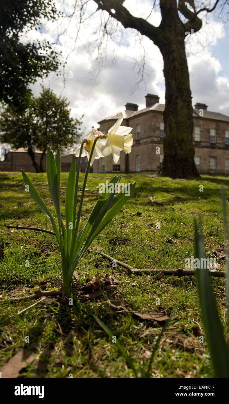 Clifton park and museum hi-res stock photography and images - Alamy