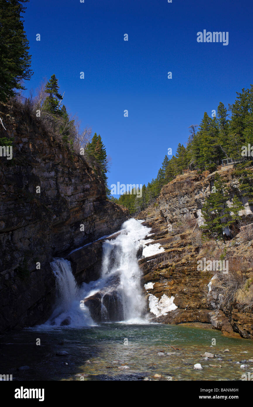 Cameron Falls in Waterton National Park Alberta Stock Photo - Alamy