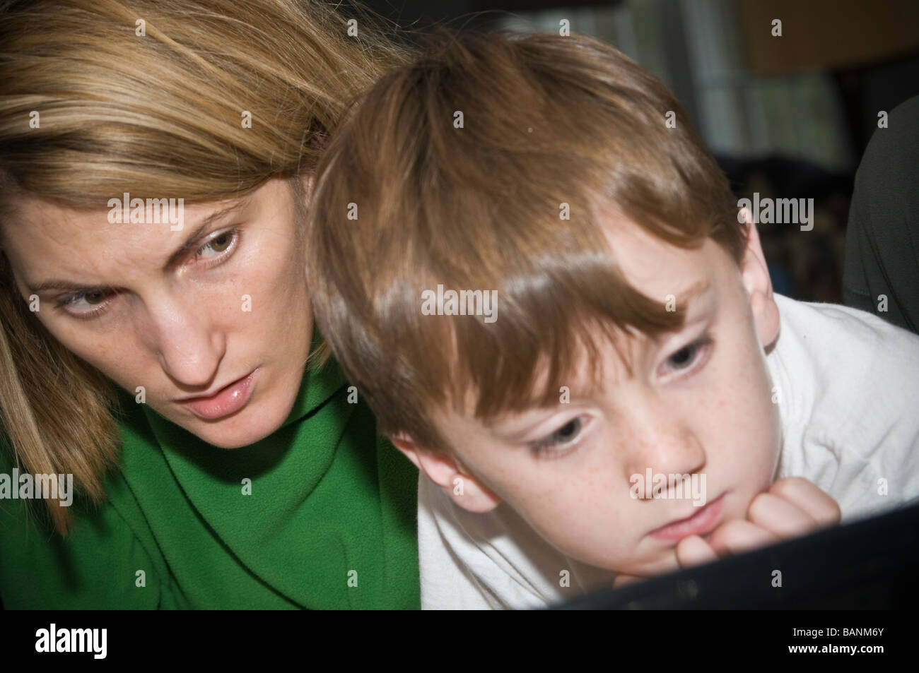 Viewing computer internet Stock Photo - Alamy