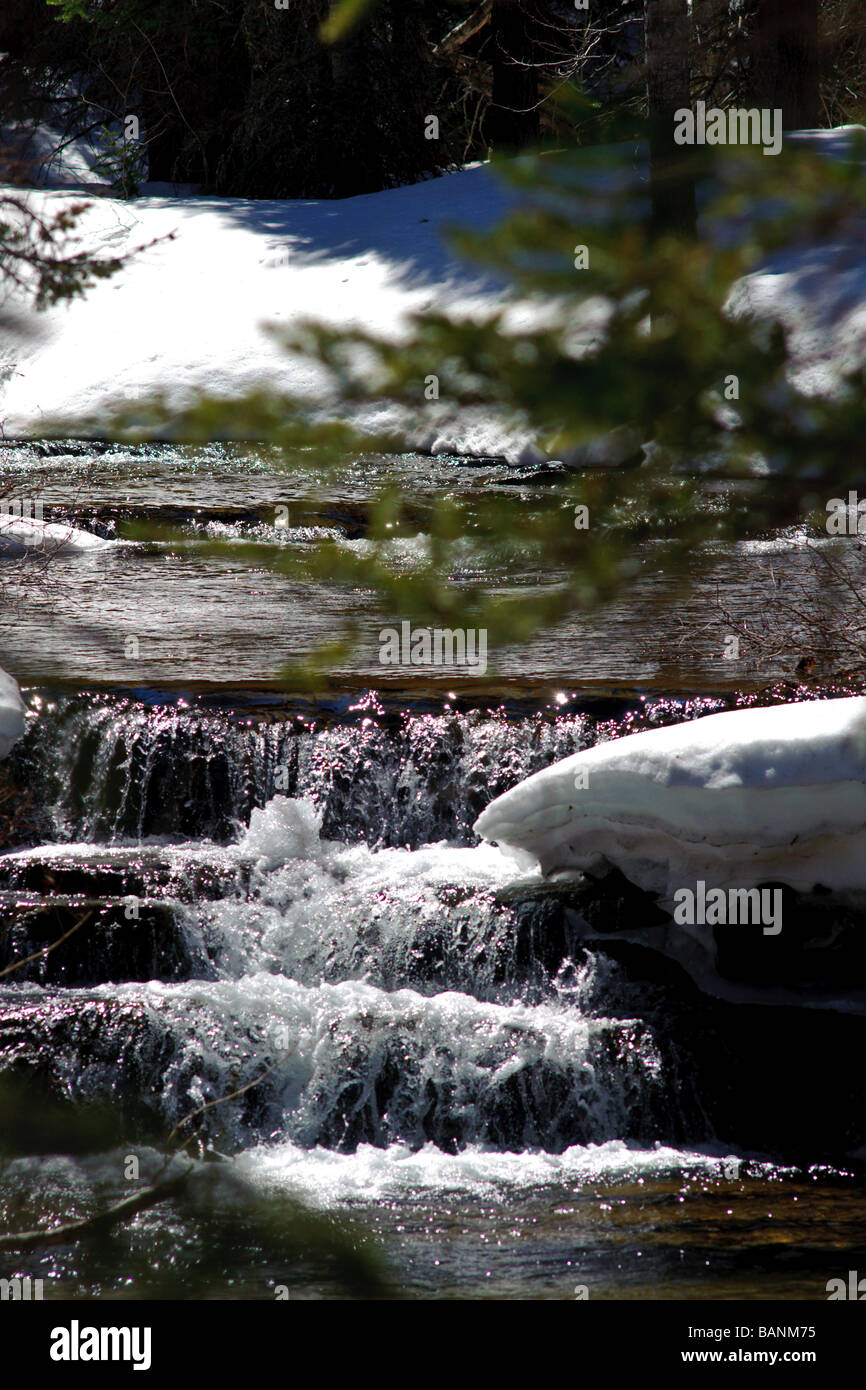 Cameron Creek beside the Akamina Parkway going to Cameron Lake in ...