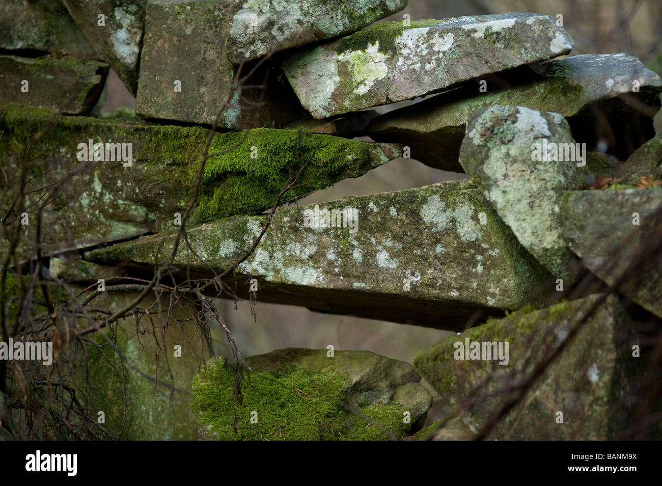 1700 history historical hi-res stock photography and images - Alamy