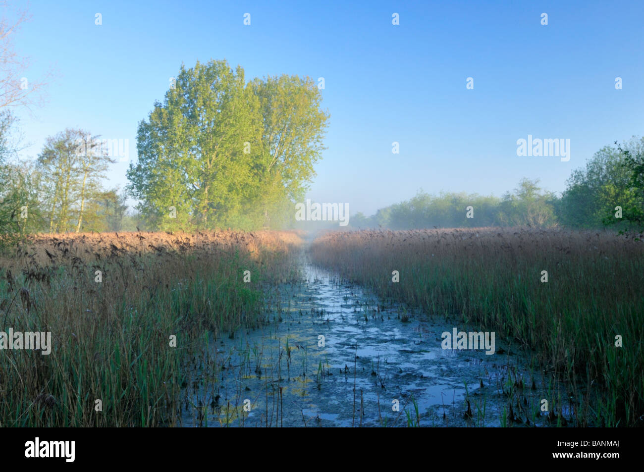 Fowlmere hi-res stock photography and images - Alamy