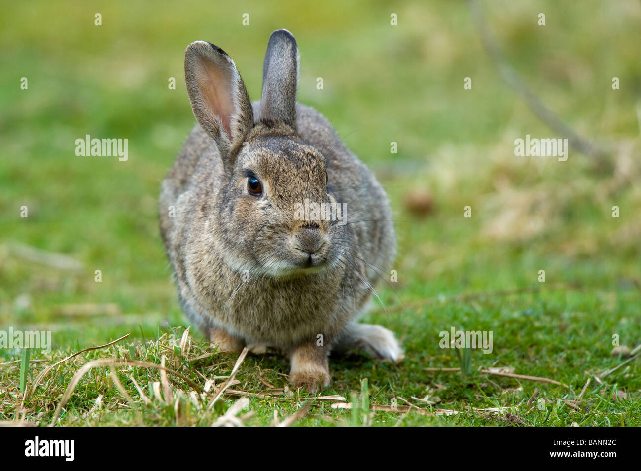 Eurpoean history hi-res stock photography and images - Alamy