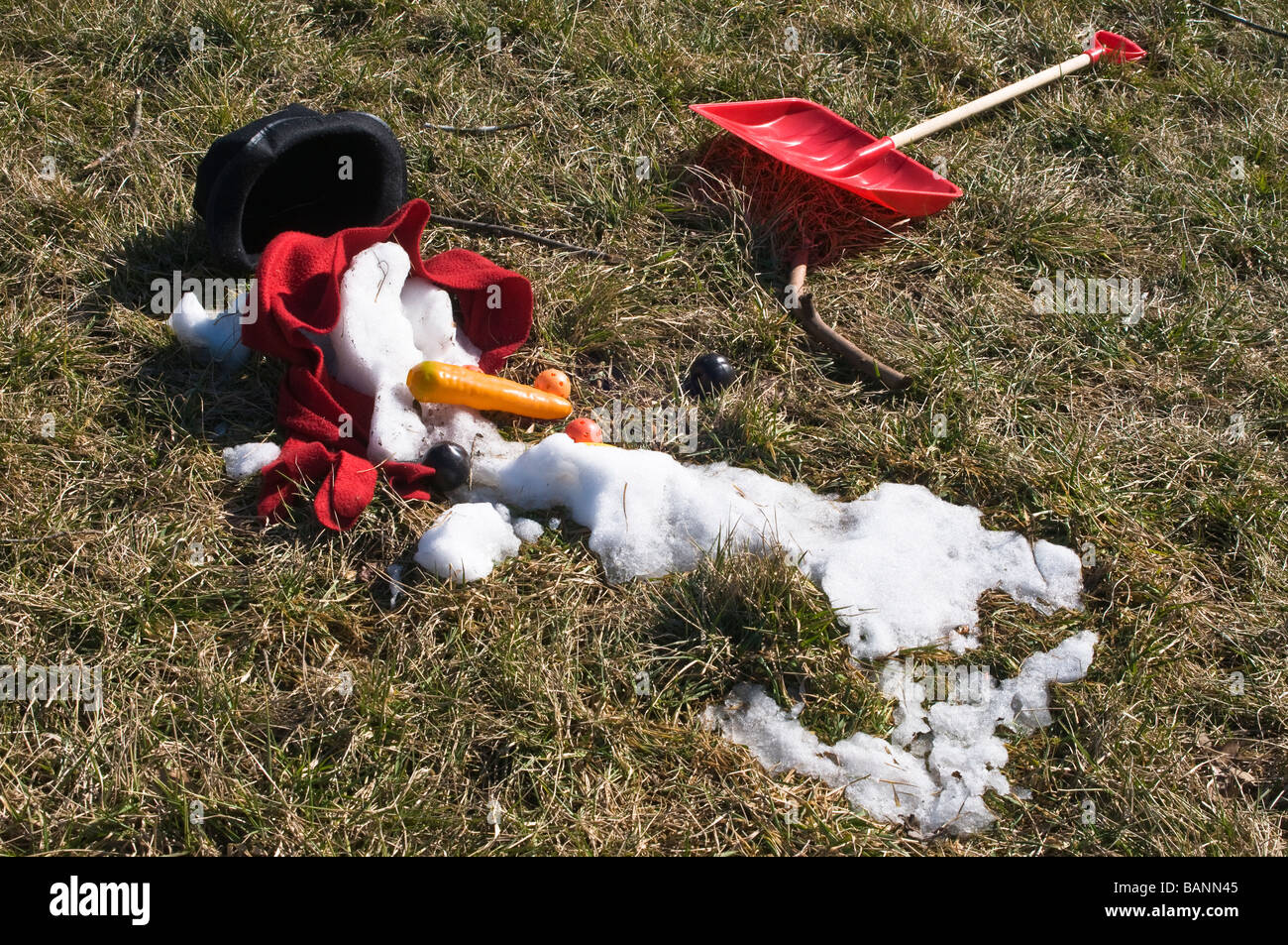 Melted snowman on front lawn Stock Photo - Alamy