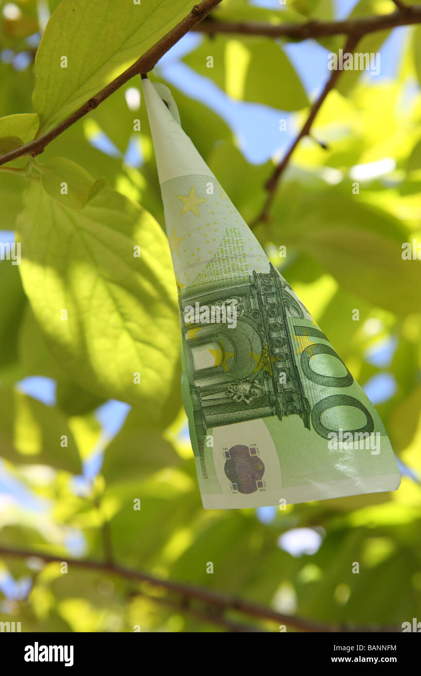 Money growing on trees Stock Photo - Alamy