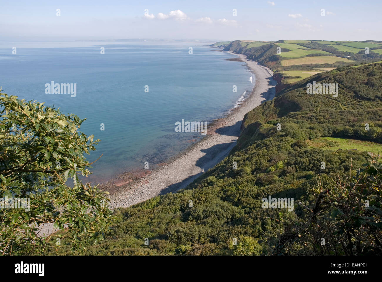Peppercombe beach, devon hi-res stock photography and images - Alamy