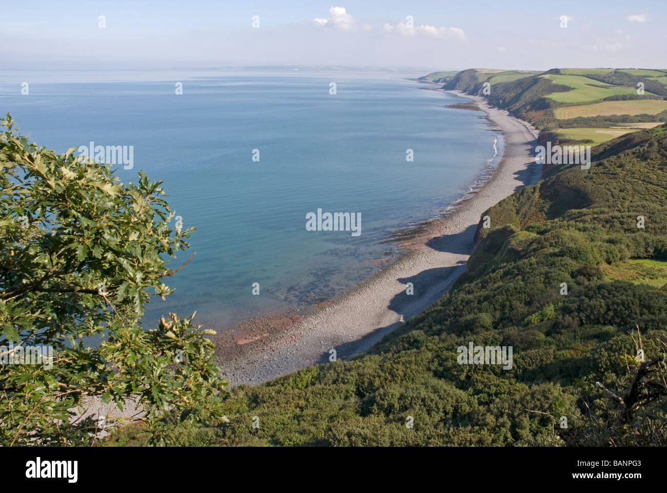North Devon coast at Peppercombe beach near Clovelly Stock Photo - Alamy