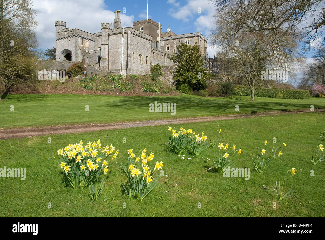 Powderham castle hi-res stock photography and images - Alamy