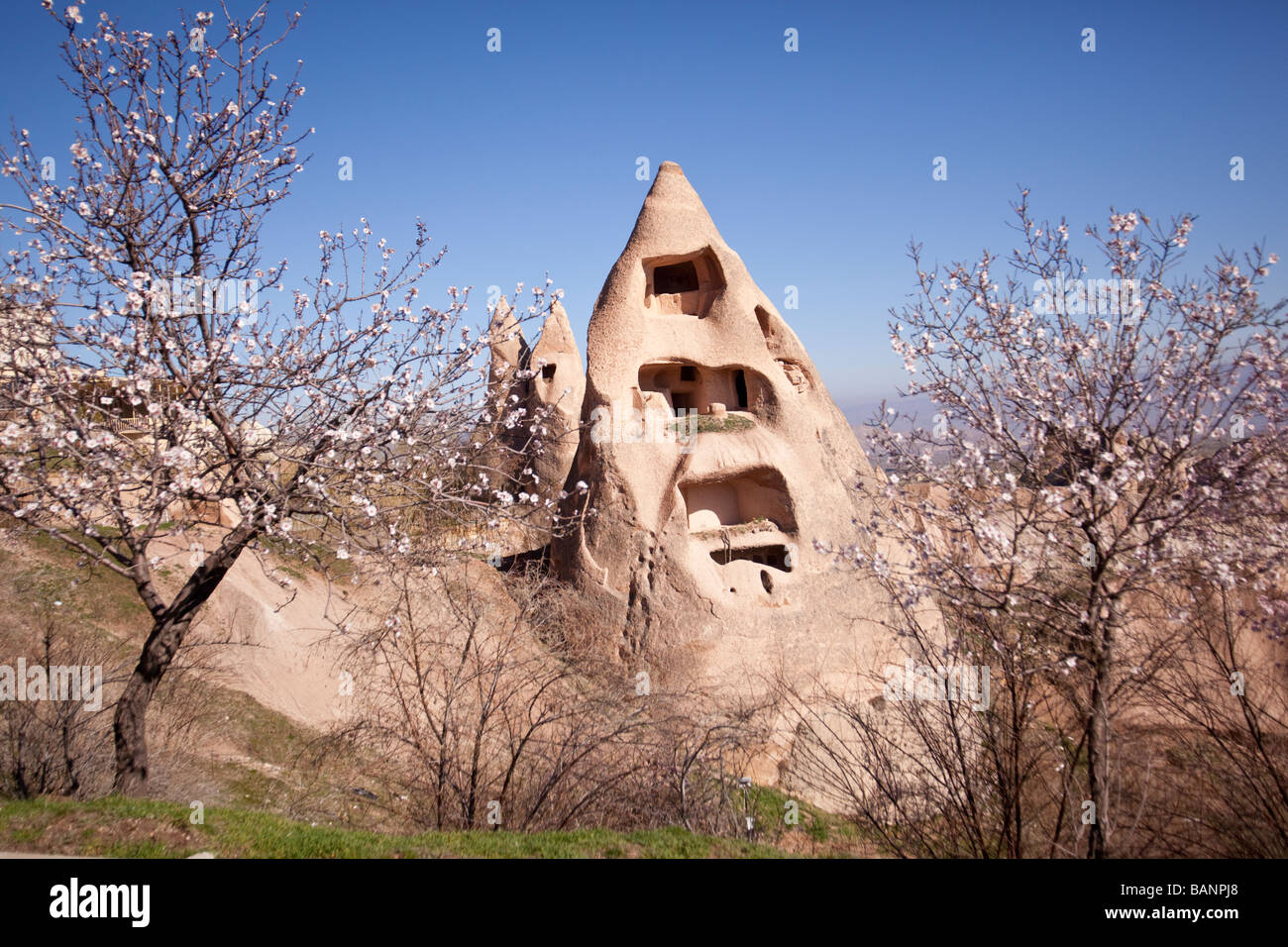 Typical fairy castle home in Cappadocia Turkey bordered by flowering ...