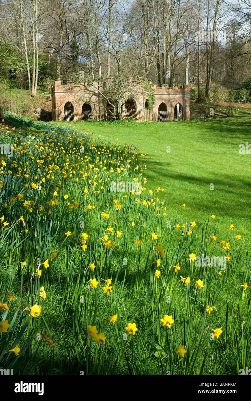 Powderham castle hi-res stock photography and images - Alamy