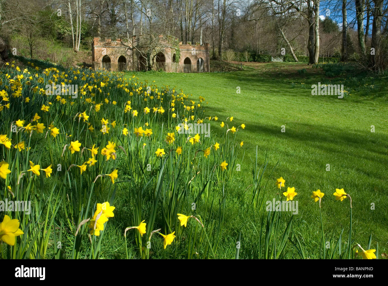 Powderham castle hi-res stock photography and images - Alamy