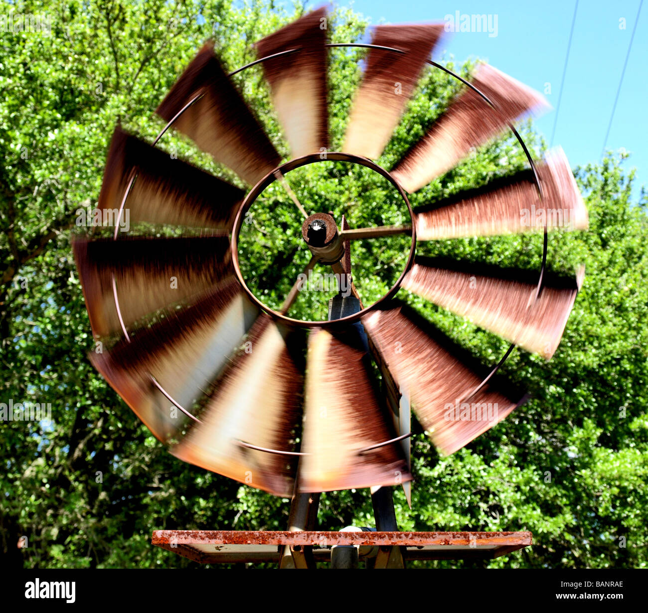 yard metal windmill with vane set against a green leaf background ...