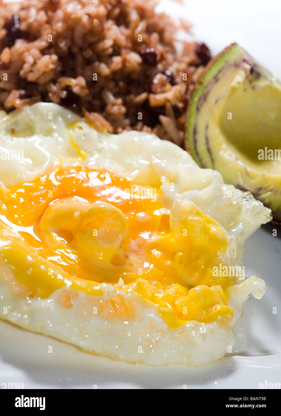 typical breakfast nicaragua fried eggs avocado gallo pinto rice and ...