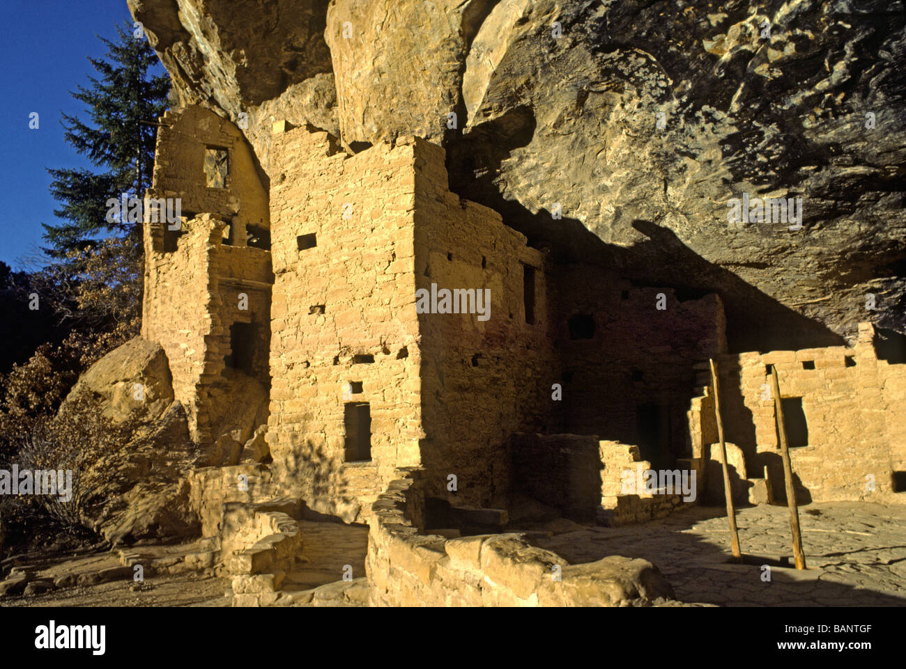 Detail of SPRUCE TREE HOUSE MESA VERDE NATIONAL PARK COLORADO Stock ...